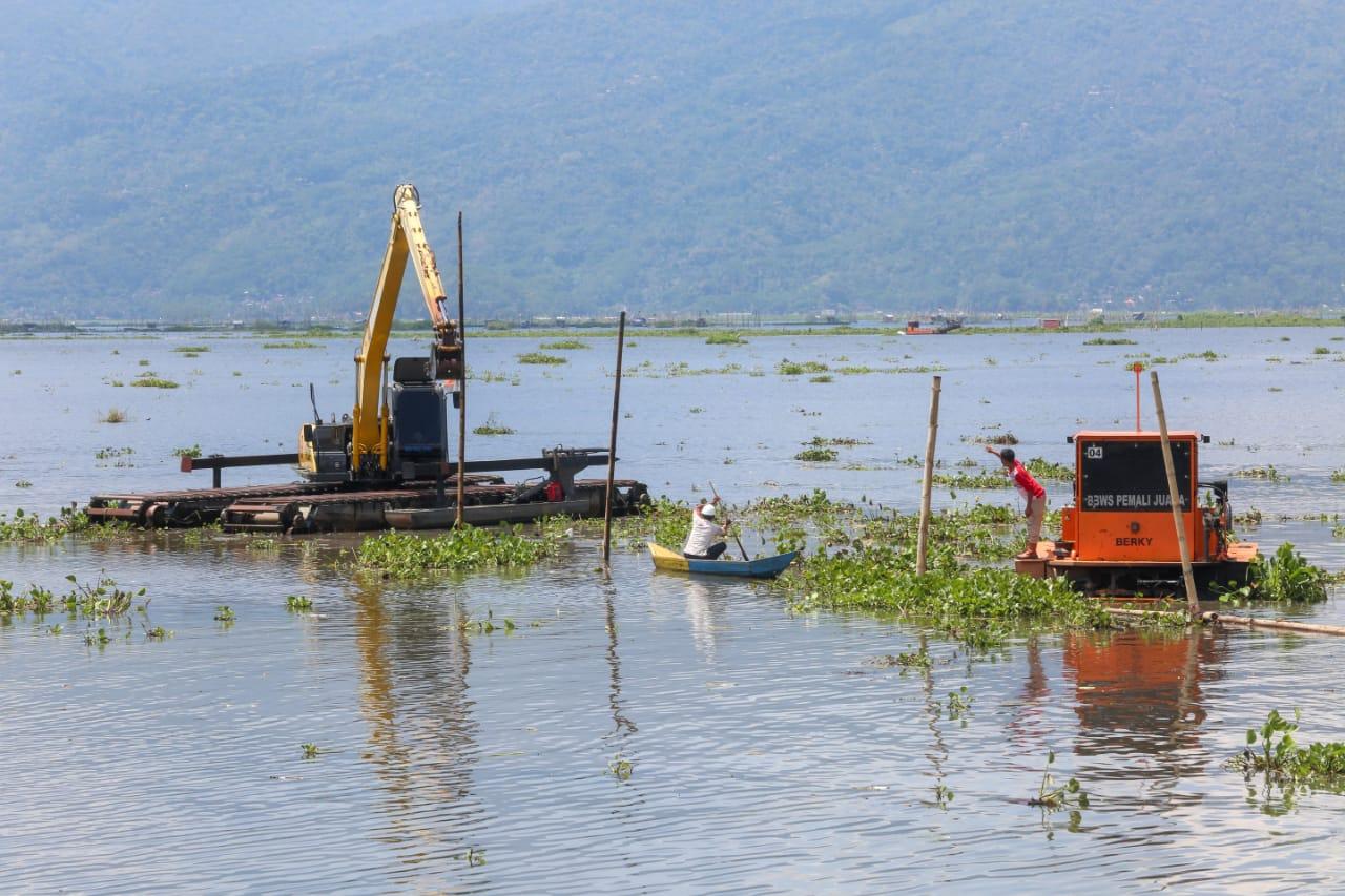 Penelitian Mahasiswi FPIK UNDIP: Ikan Endemik Rawa Pening Tinggal Tiga ...