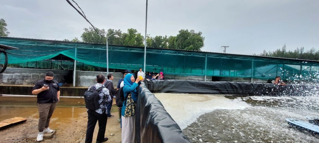 LPPM UNDIP Lakukan Monev Penelitian dan Pengabdian di Marine Science ...