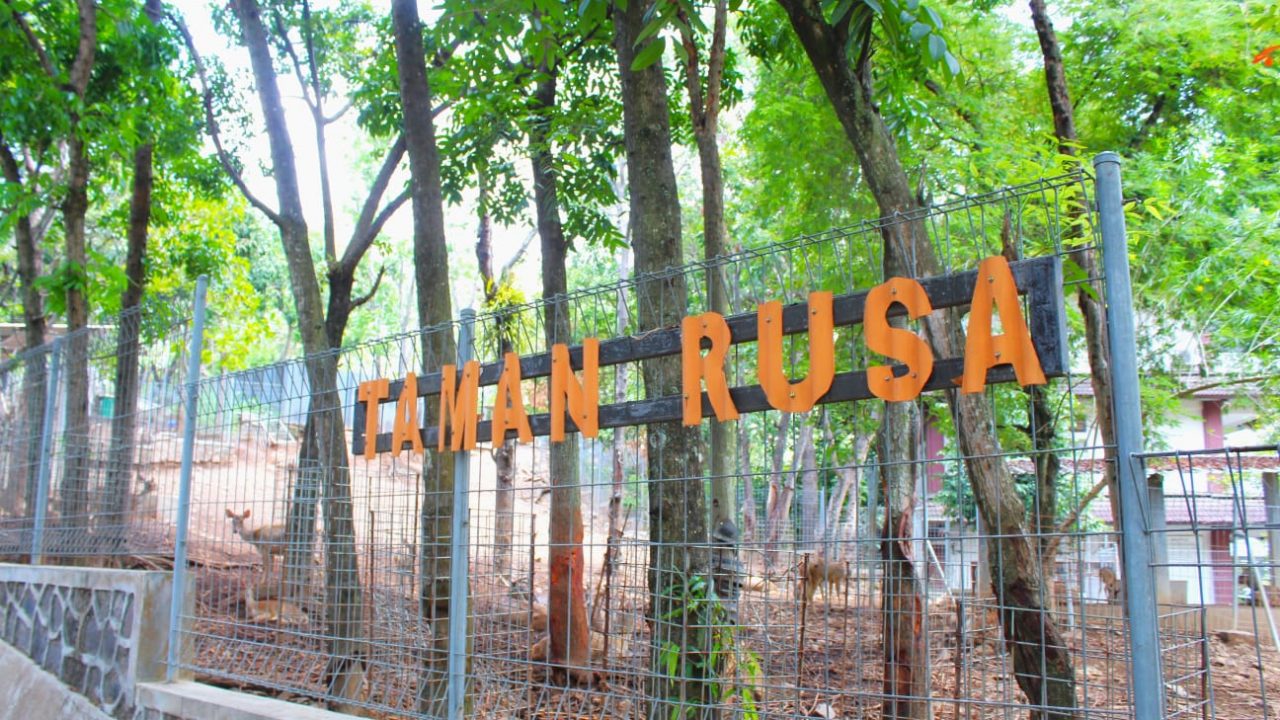 Fasilitas - Universitas Diponegoro