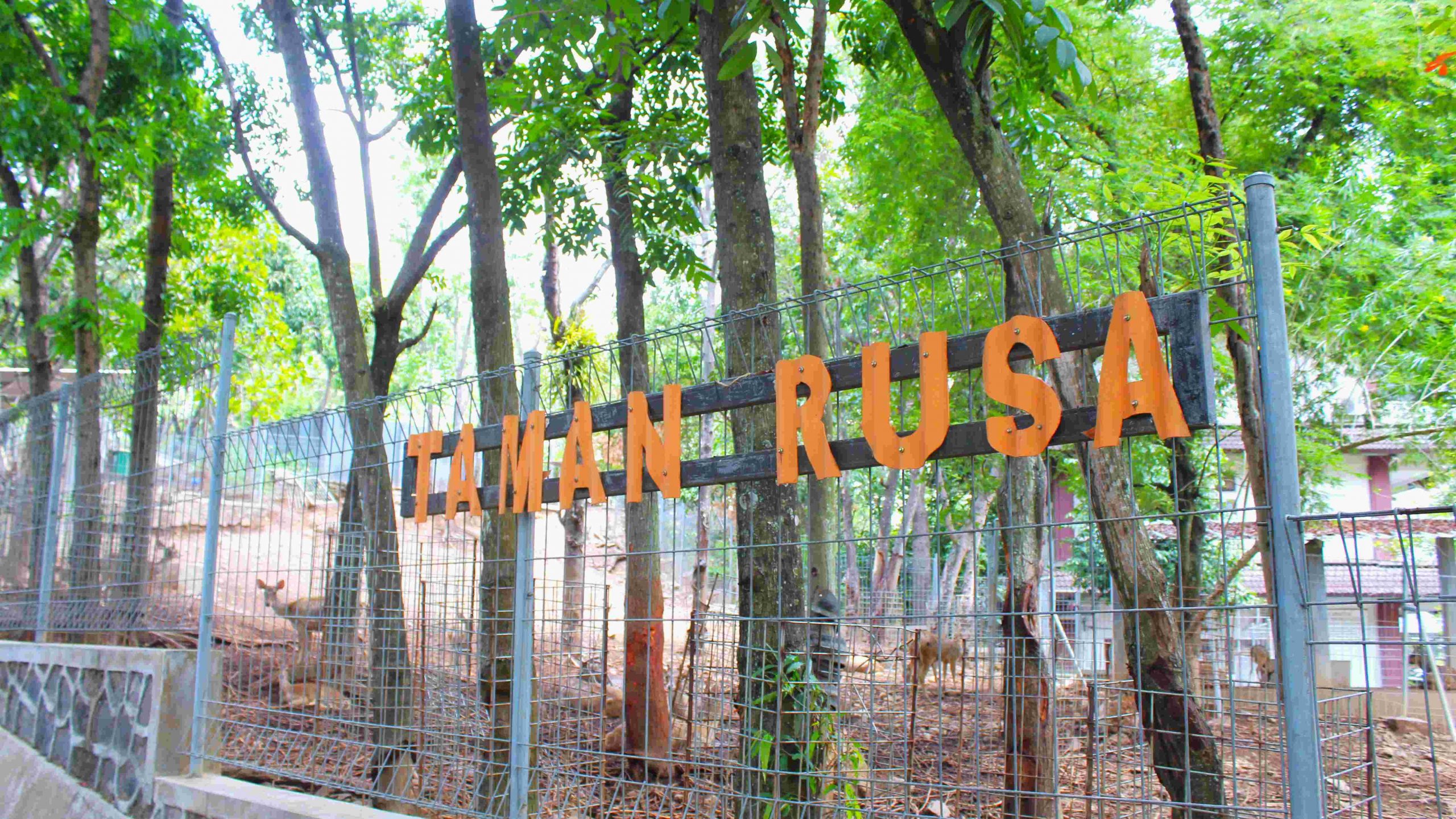 Foto Taman di Undip - Universitas Diponegoro