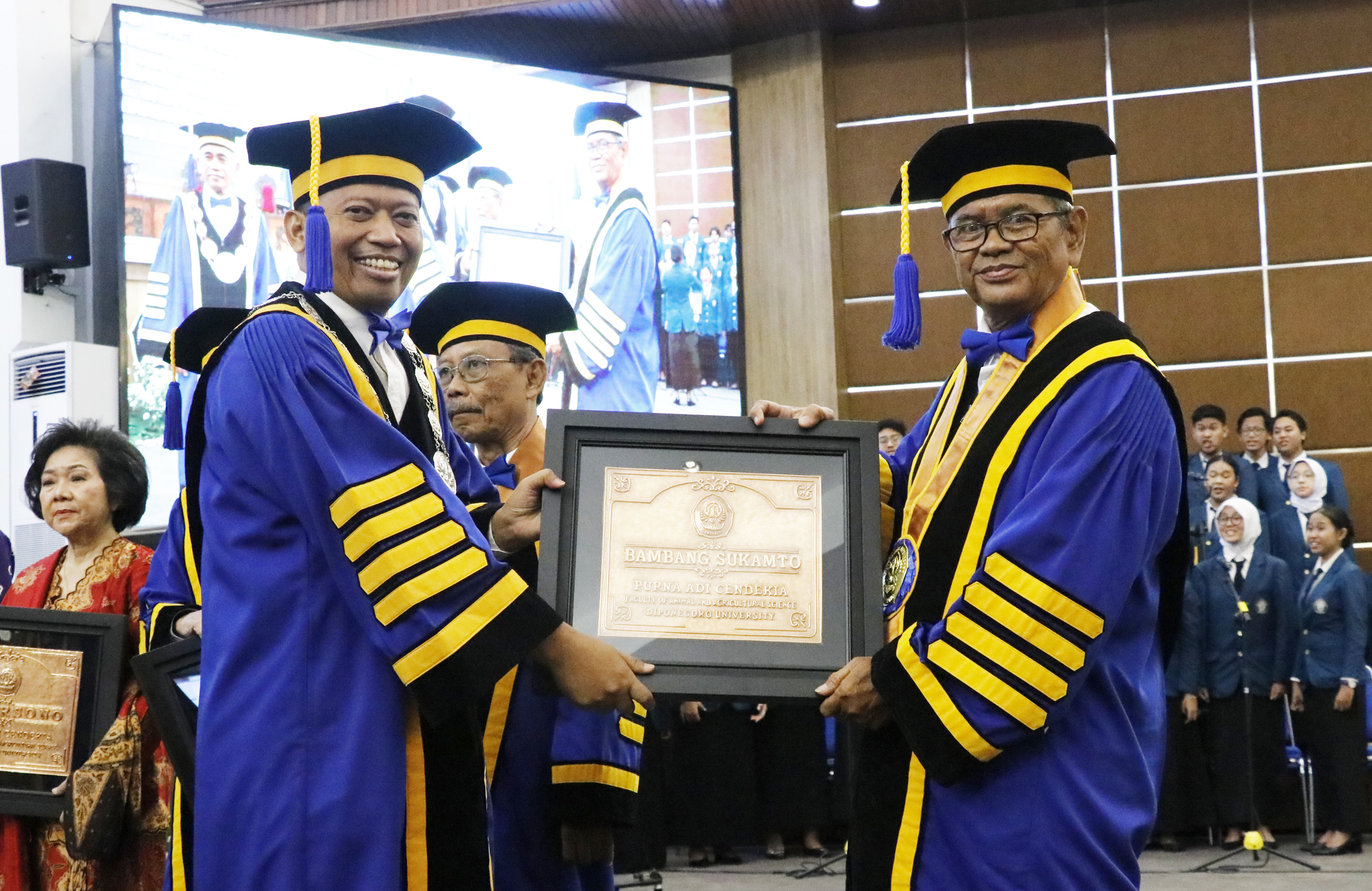 Guru Besar FPP UNDIP Jelaskan Kontribusi Ayam Ras Penuhi Kebutuhan ...